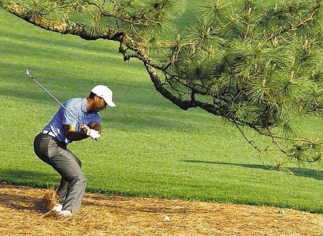 Augusta : Disparition de l'Eisenhower Tree - Monsieurgolf Magazine ...